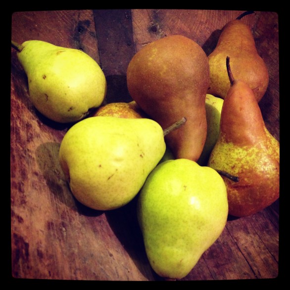 The go-to list for autumn… | Caro & Co